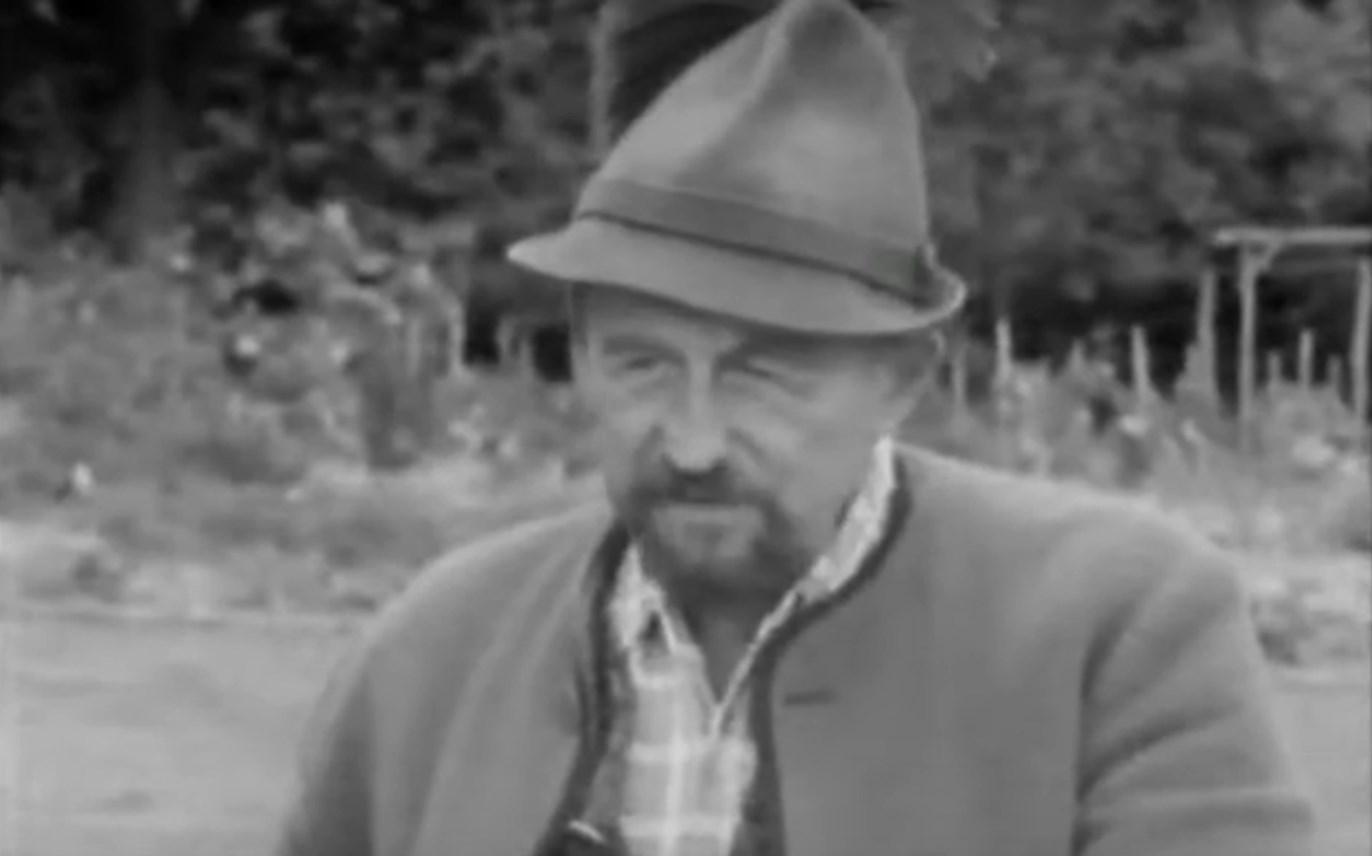 Vom Reichswehrleutnant zum Kommunisten – Interview mit Richard ...